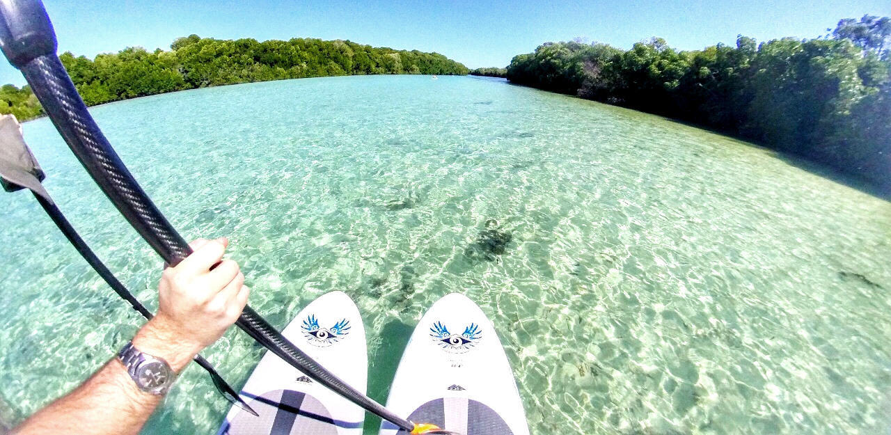 Supping & Paddle Boarding - Chole Mjini Tree House Lodge
